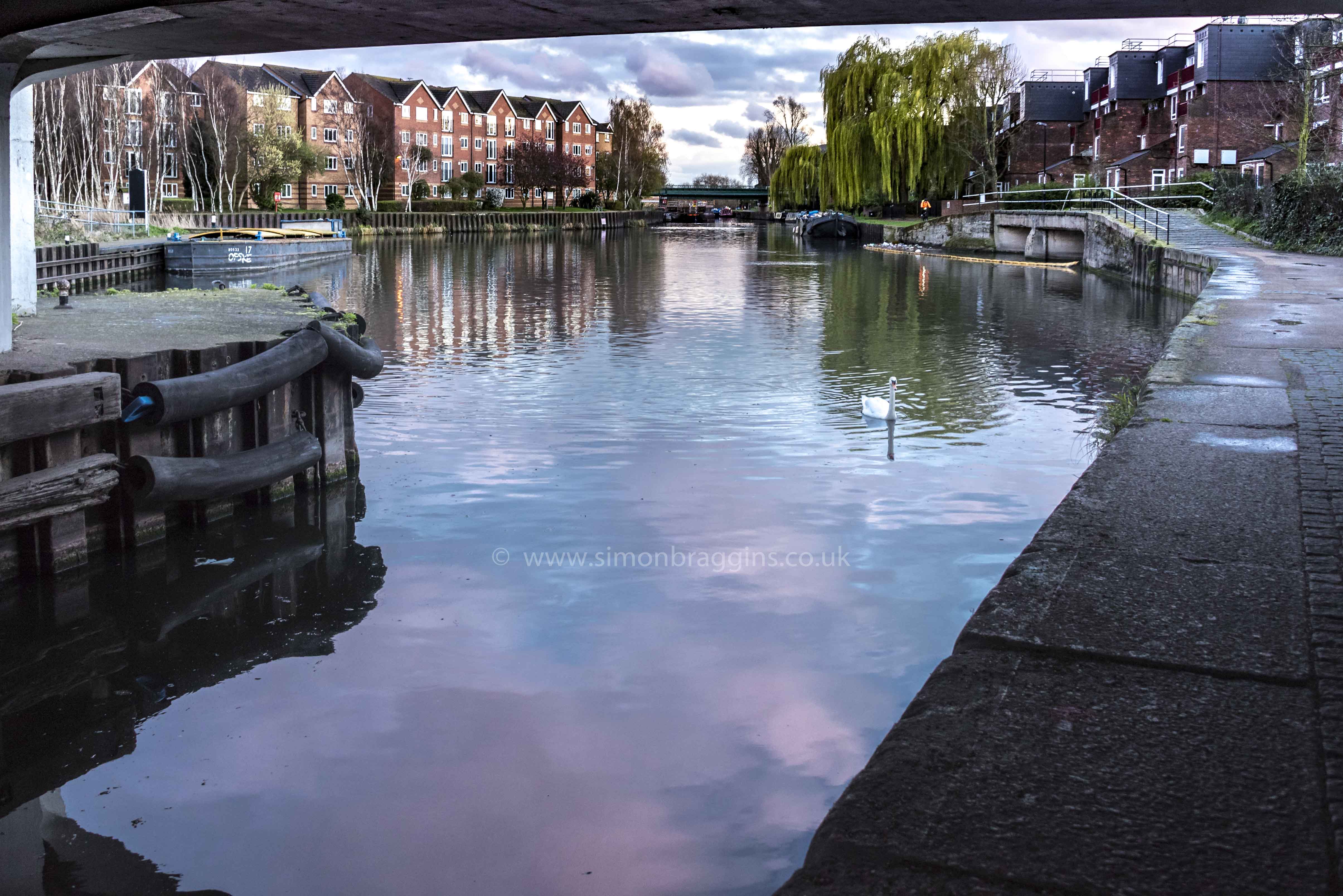 Life on Tottenham’s River Lea