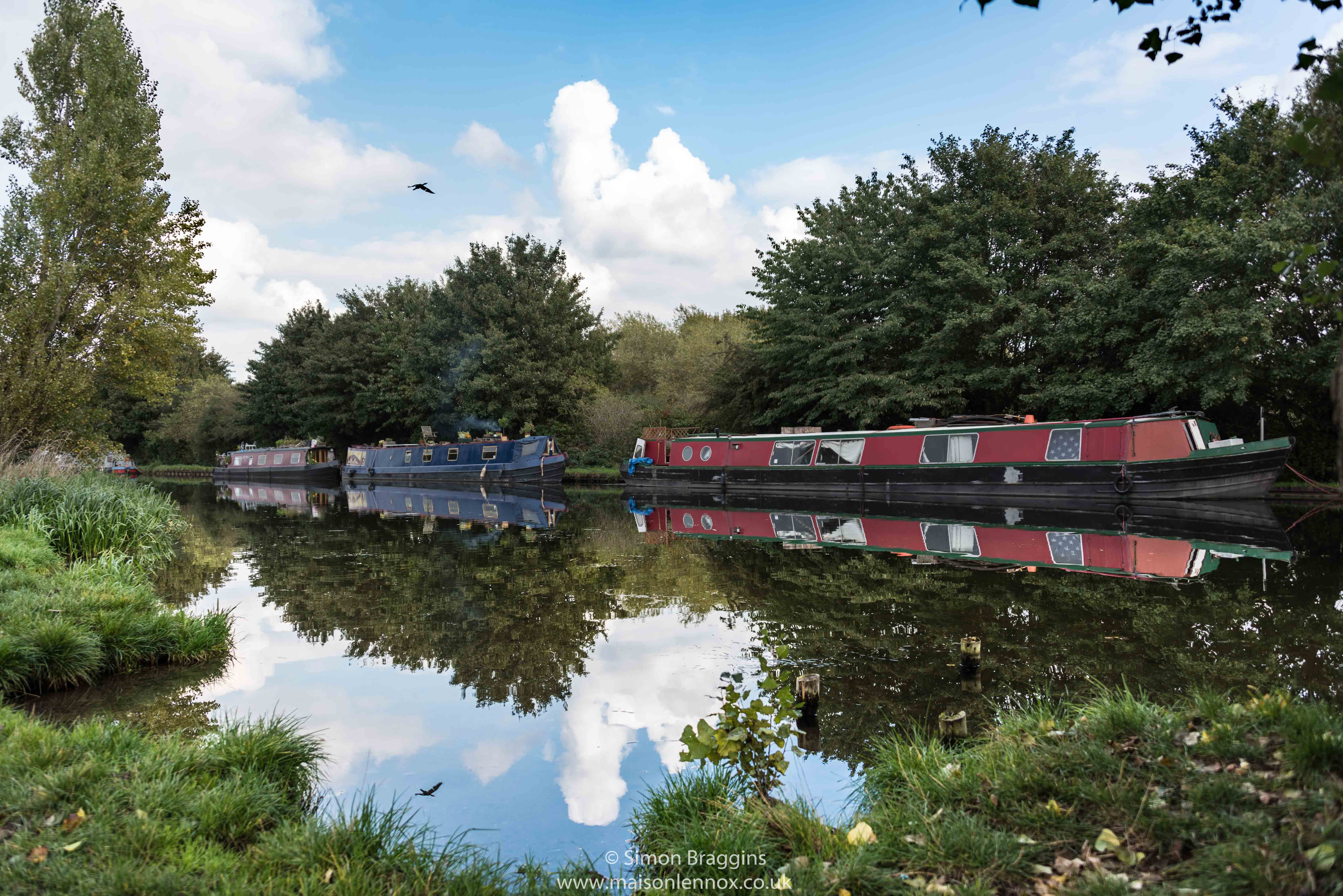 Life on Tottenham’s River Lea